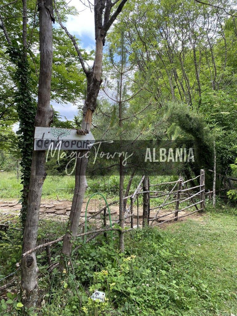 How To Spend A Day In Dajti National Park | Discover Your Ideal ...